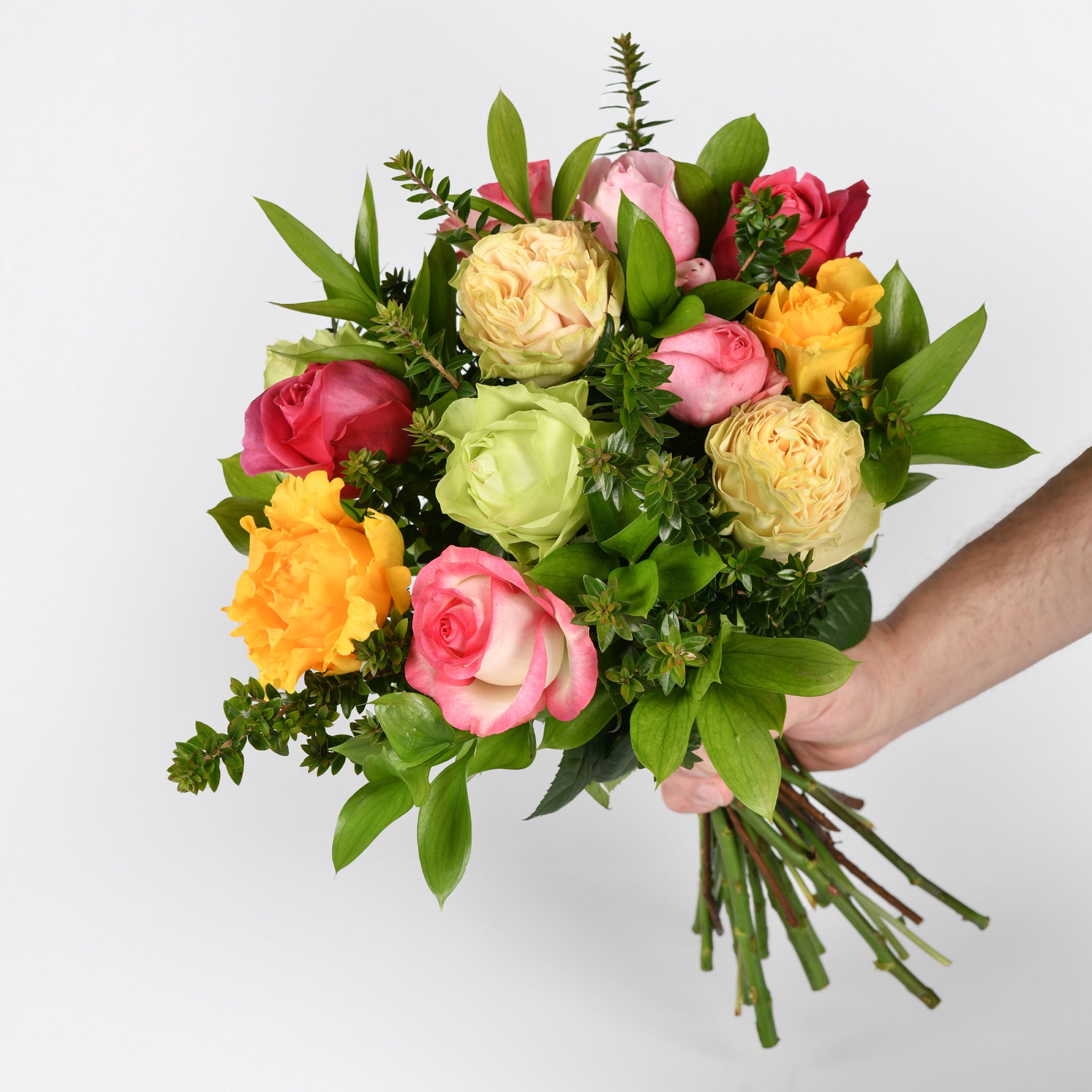 Rose Surprise – Exotica