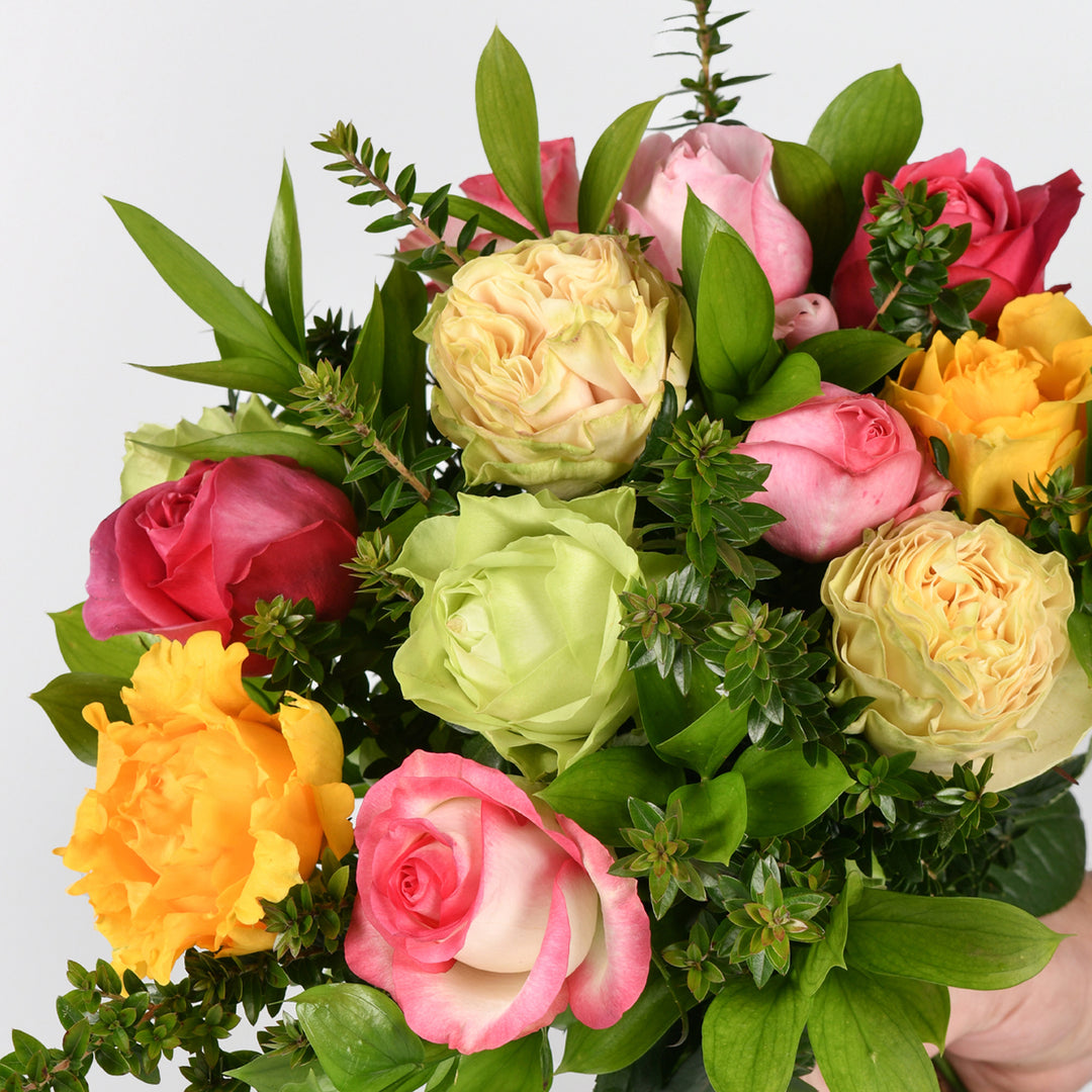 Rose Surprise – Exotica