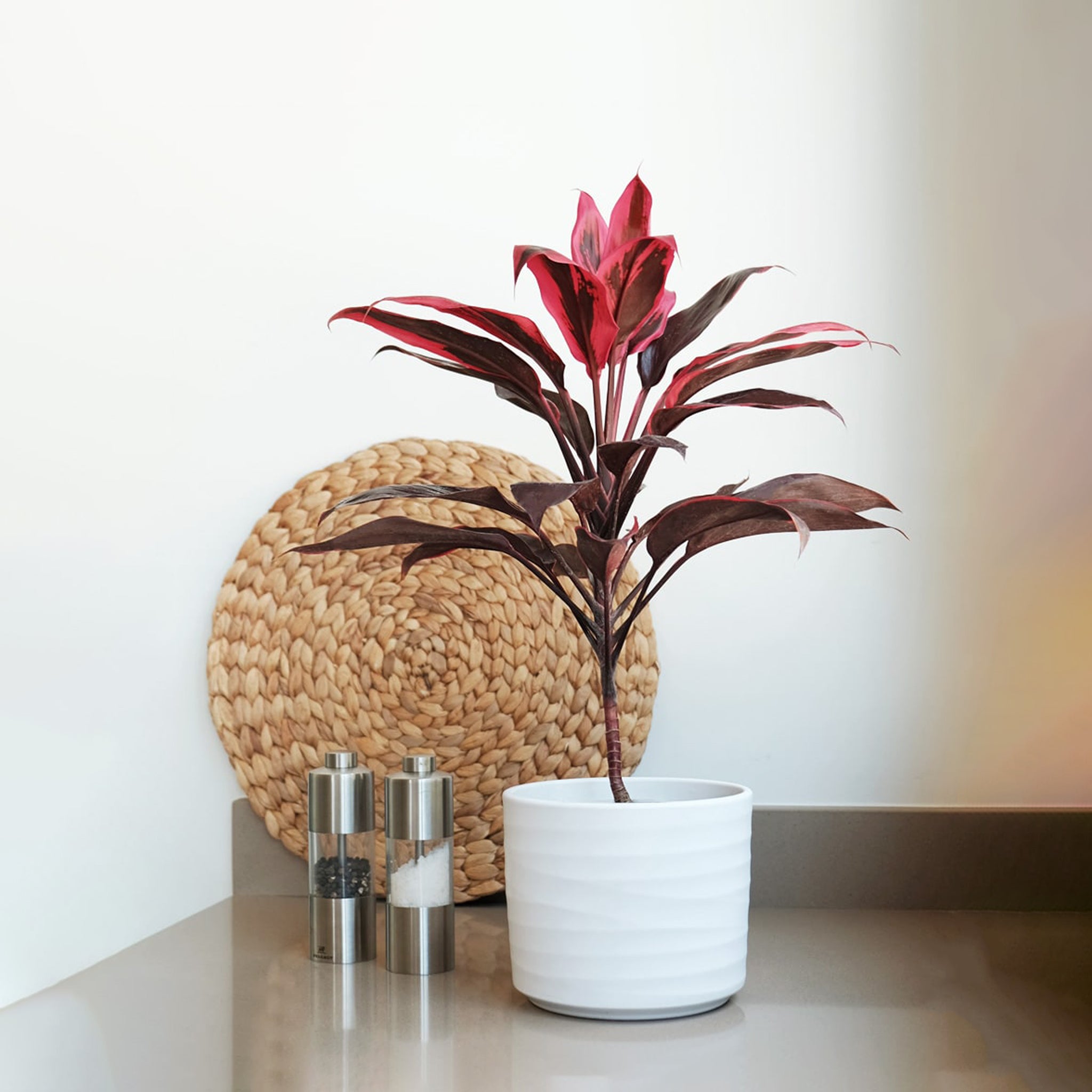 Purple Fluff – Exotica