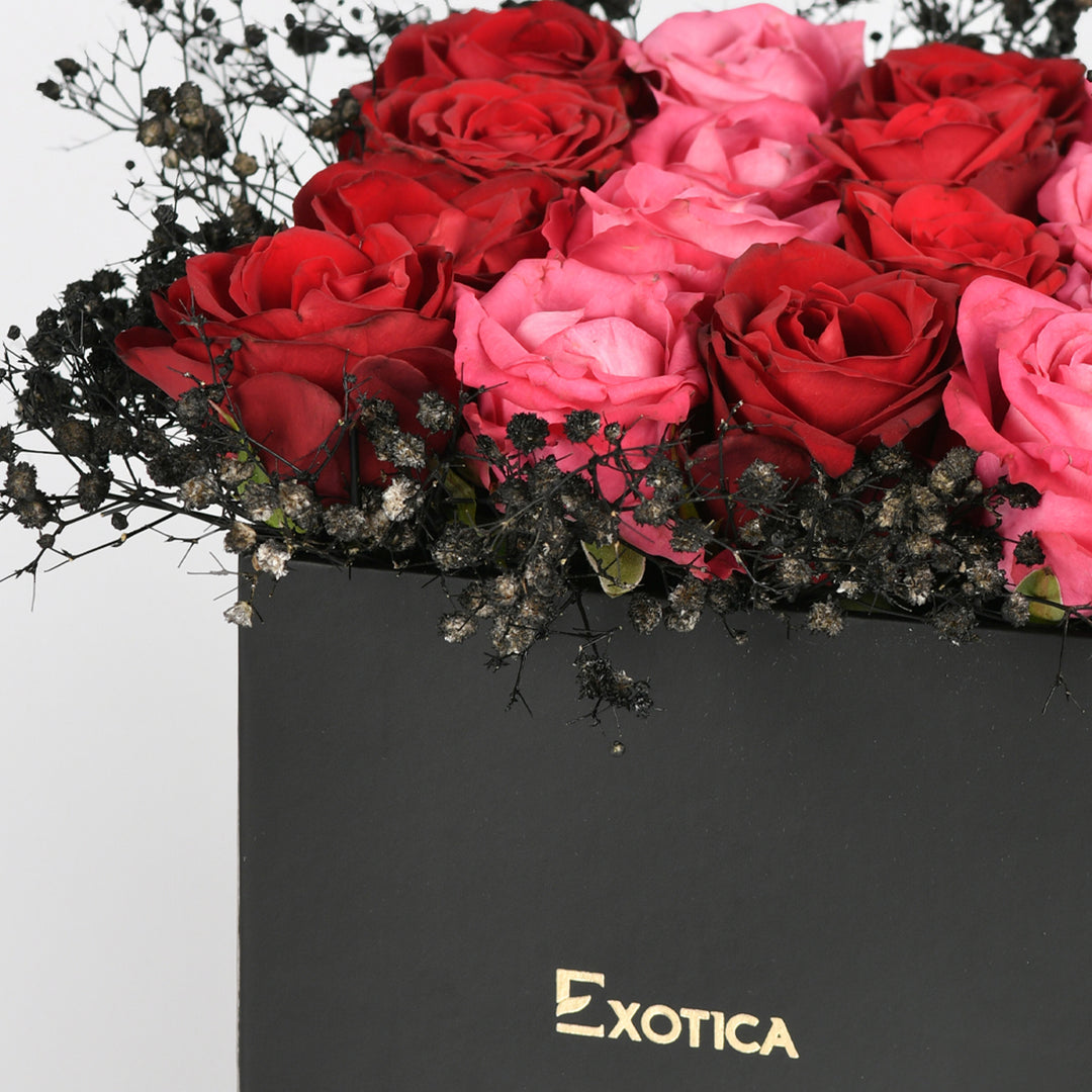 Romantic Roses – Exotica